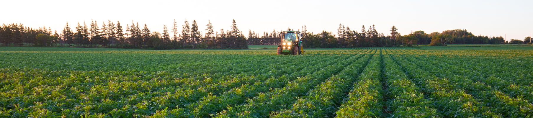 FAQ | Health and Nutritional Information | Cavendish Farms